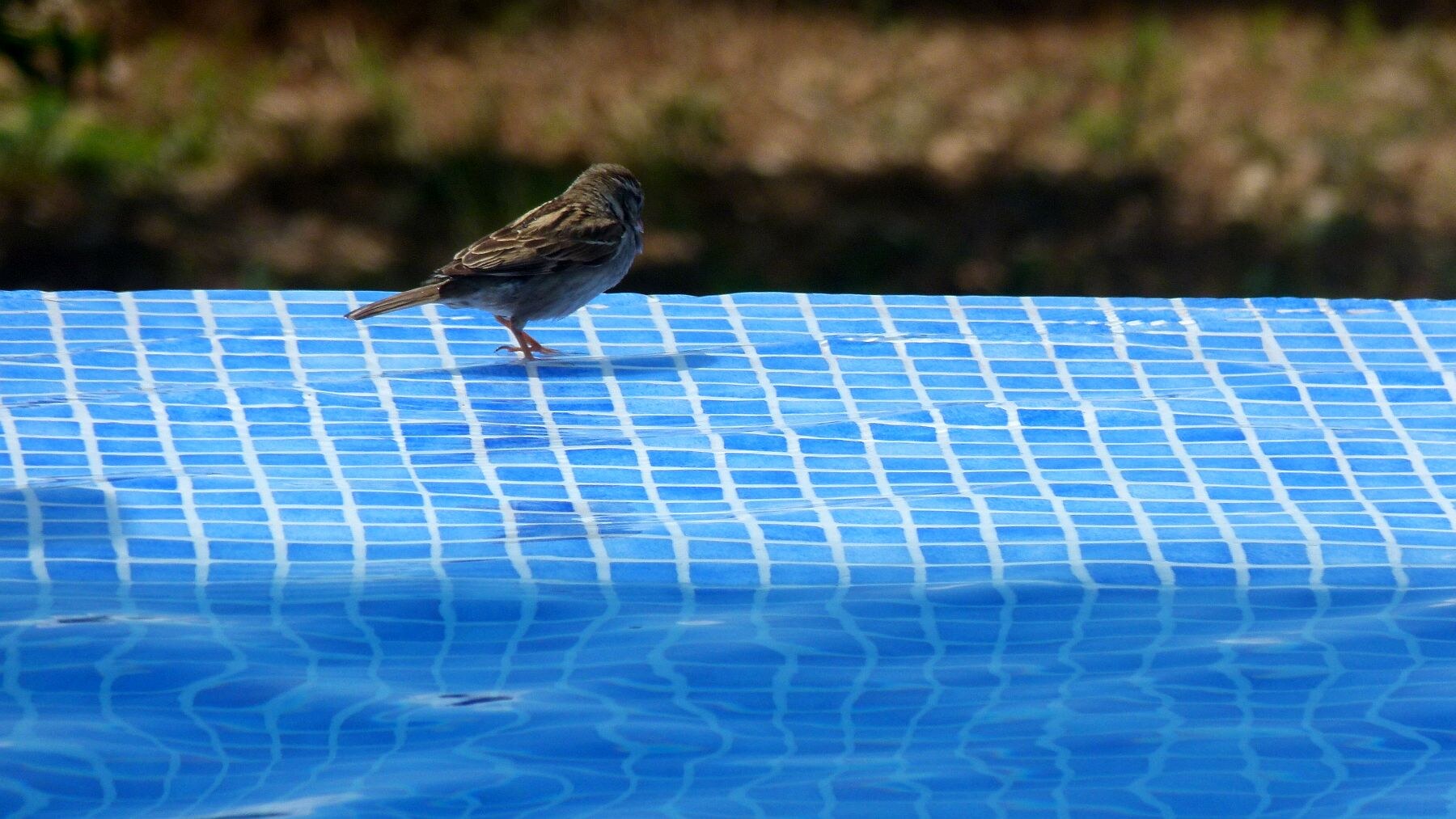 Bol Charming pool Villa Blue Sky - Santo