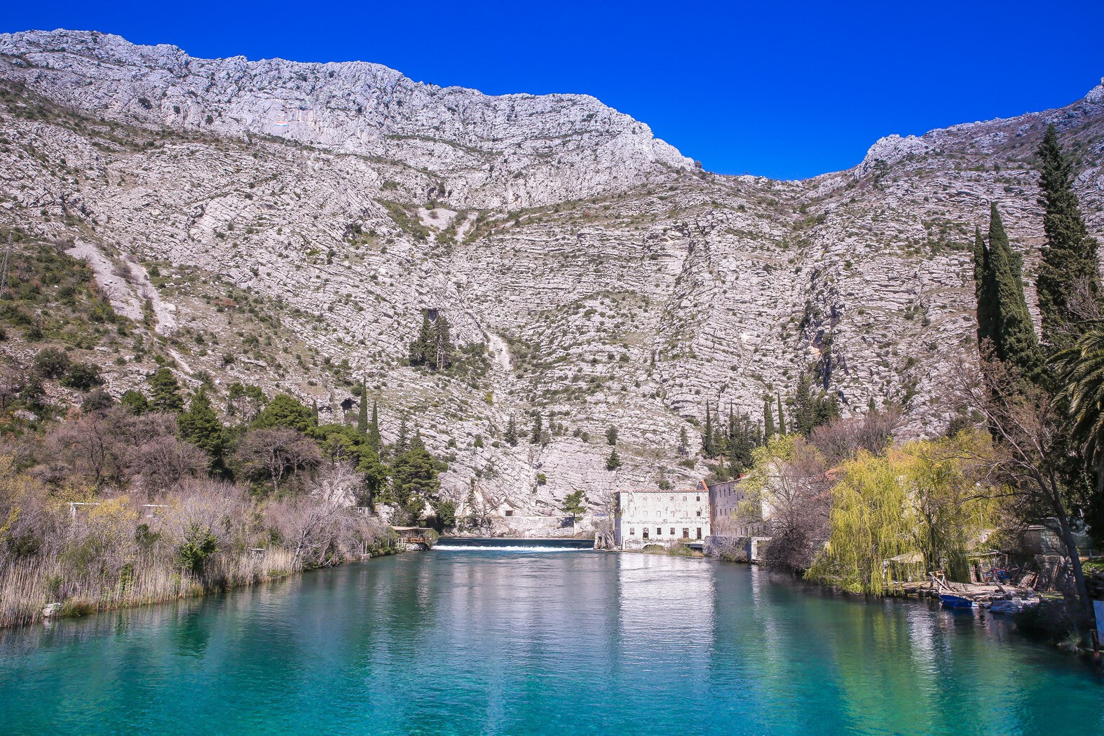 Seafront pool Villa Rozat Dubrovnik Riviera - Santo